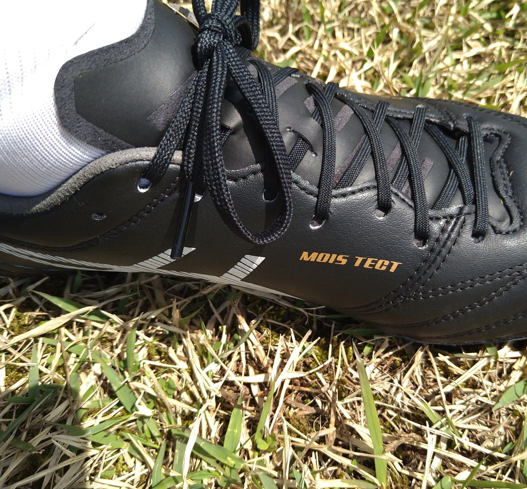 ASICS DS Light X Fly 5 Review – Lockhart Boot Blog