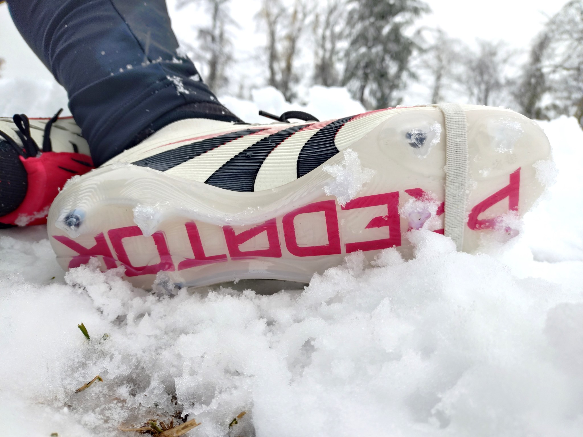 Adidas Predator Elite FT Review (2025) – Lockhart Boot Blog