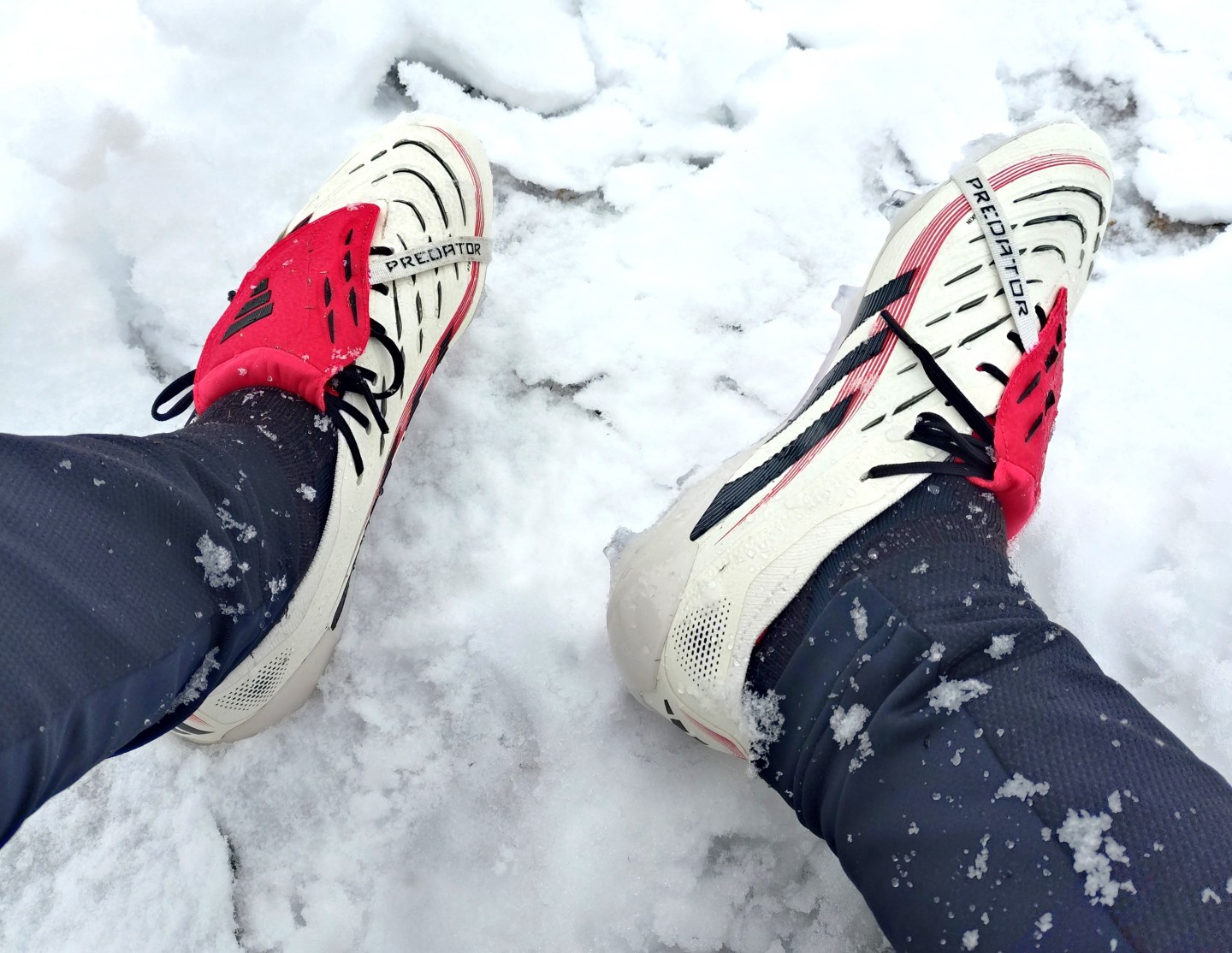 Adidas Predator Elite FT Review (2025) – Lockhart Boot Blog