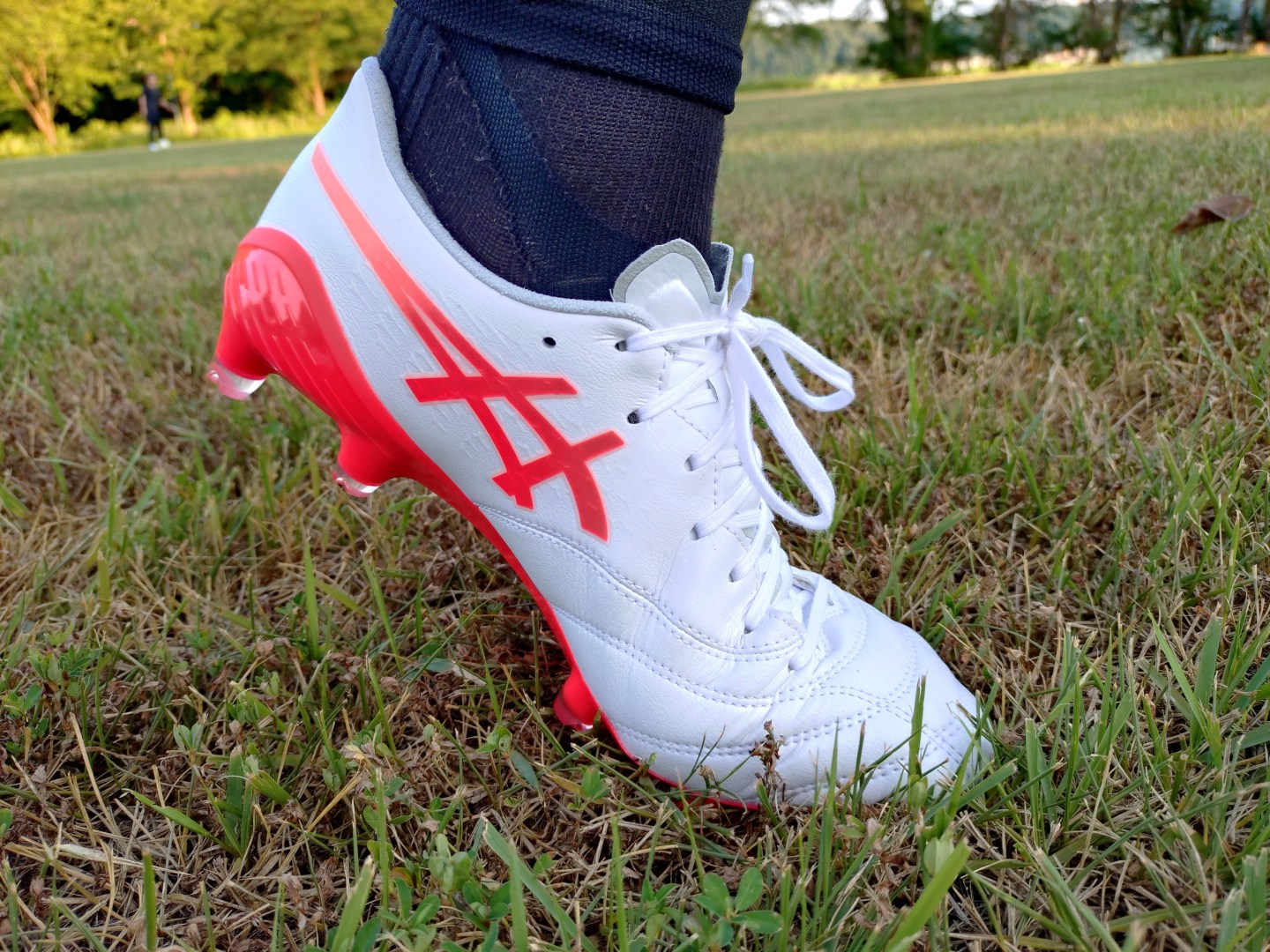 ASICS DS Light X Fly 6 Review – Lockhart Boot Blog