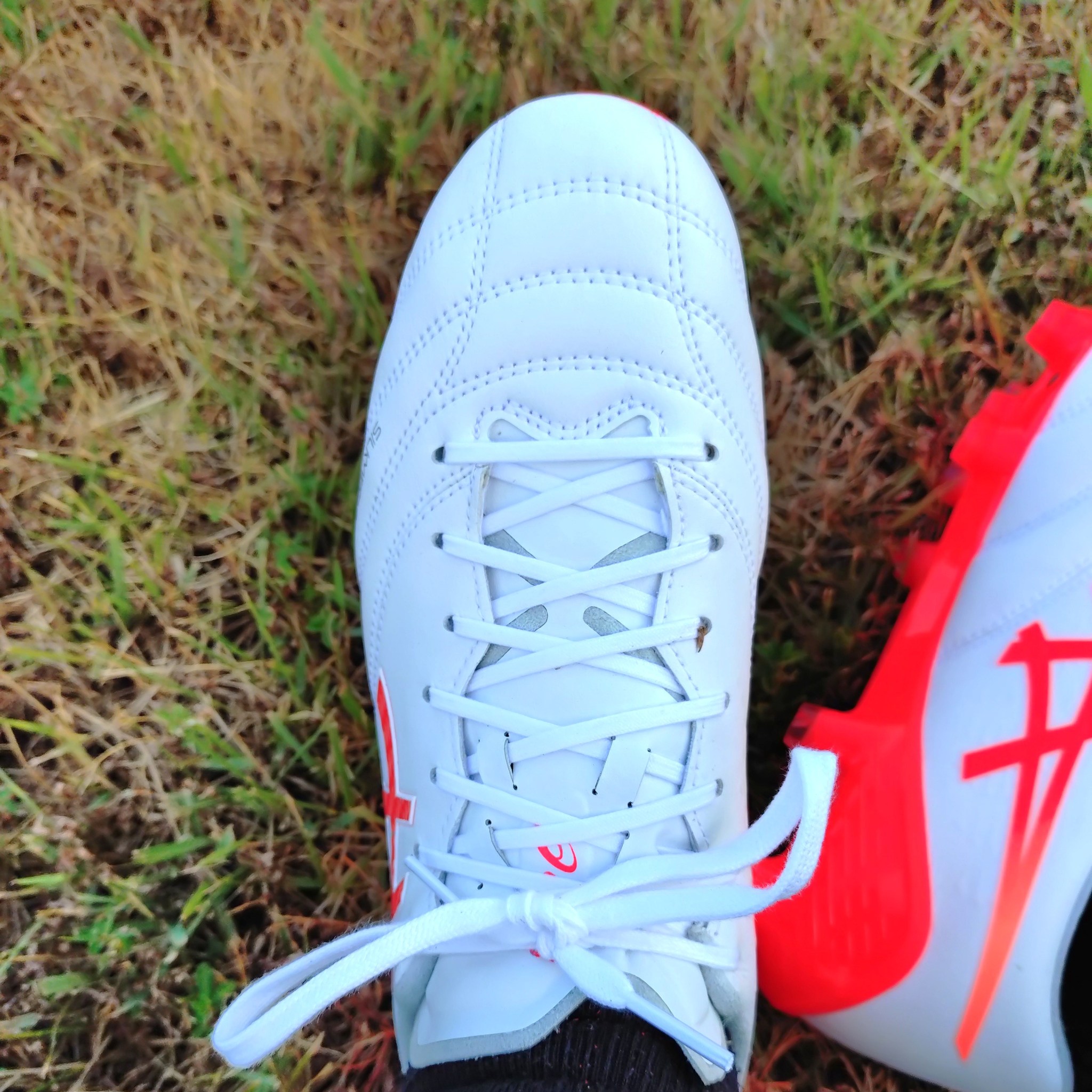 ASICS DS Light X Fly 6 Review – Lockhart Boot Blog